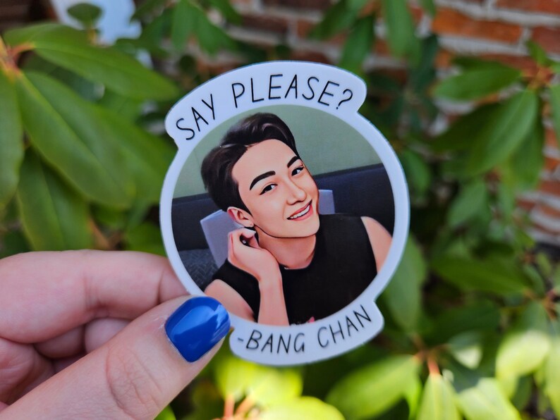 CHAN say Please Sticker / Stray Kids Laptop Decal - Etsy