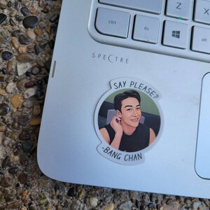 CHAN "say Please?" Sticker / Stray Kids Laptop Decal / Waterbottle ...