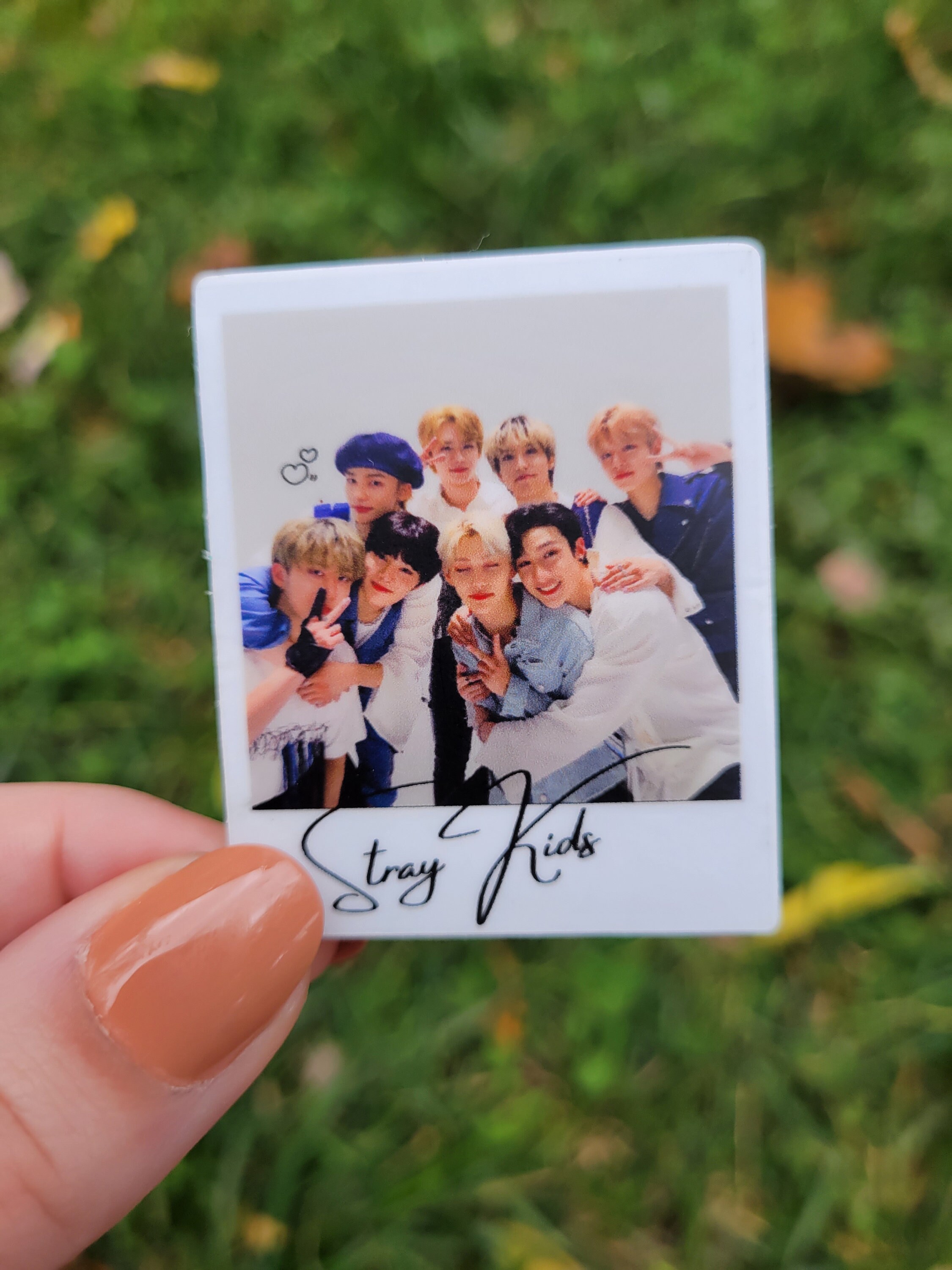 Stray Kids Group Portrait Photo Sticker / Laptop Decal / - Etsy Australia