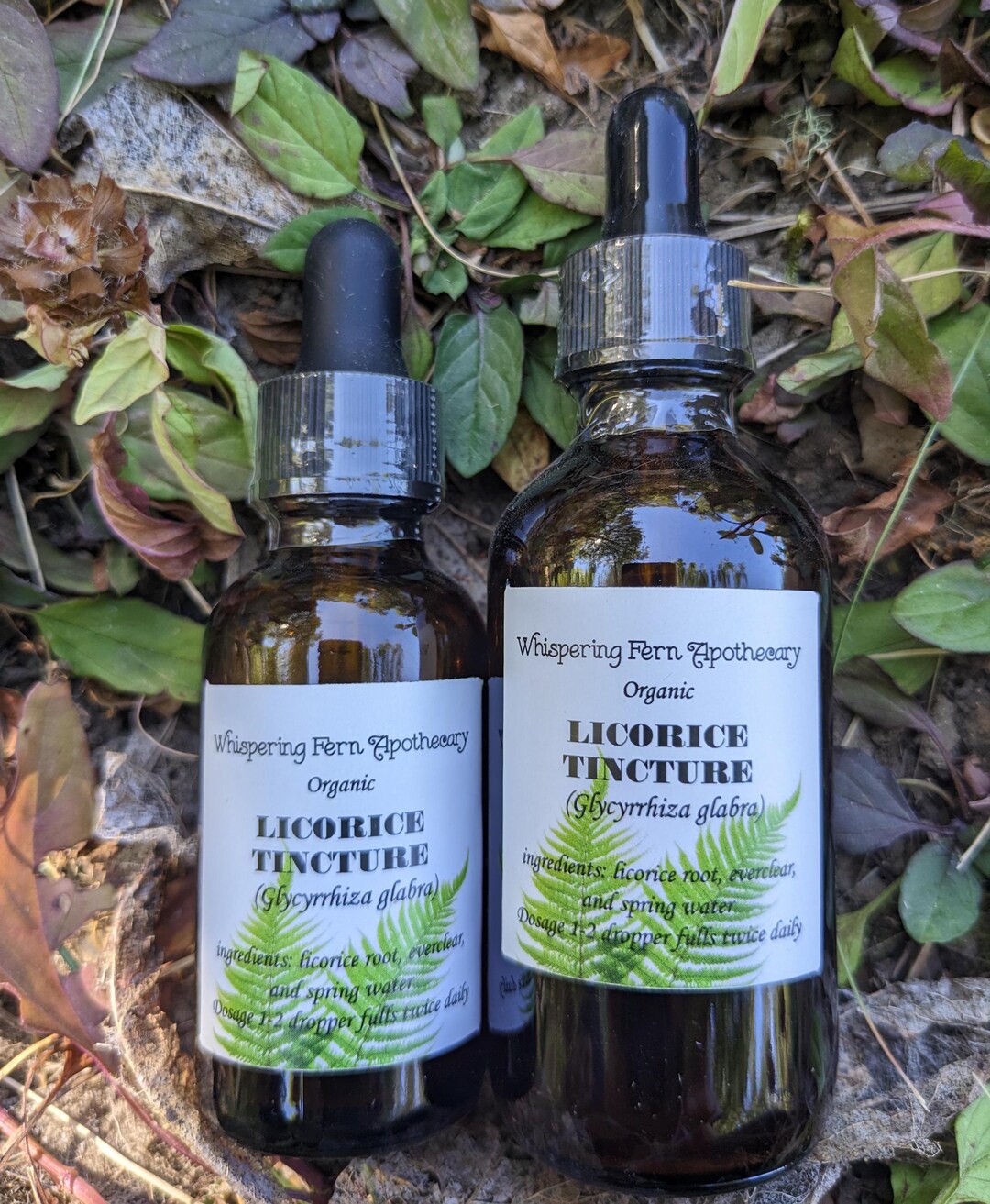 Licorice Root Tincture, Alcohol Extract, Herbal Liquid, Tonic - Etsy