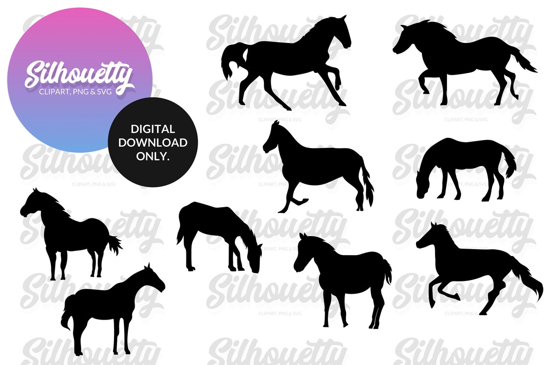 20 Piece Horse Set Svg and Png Set Horse Svg Bundle Horse - Etsy