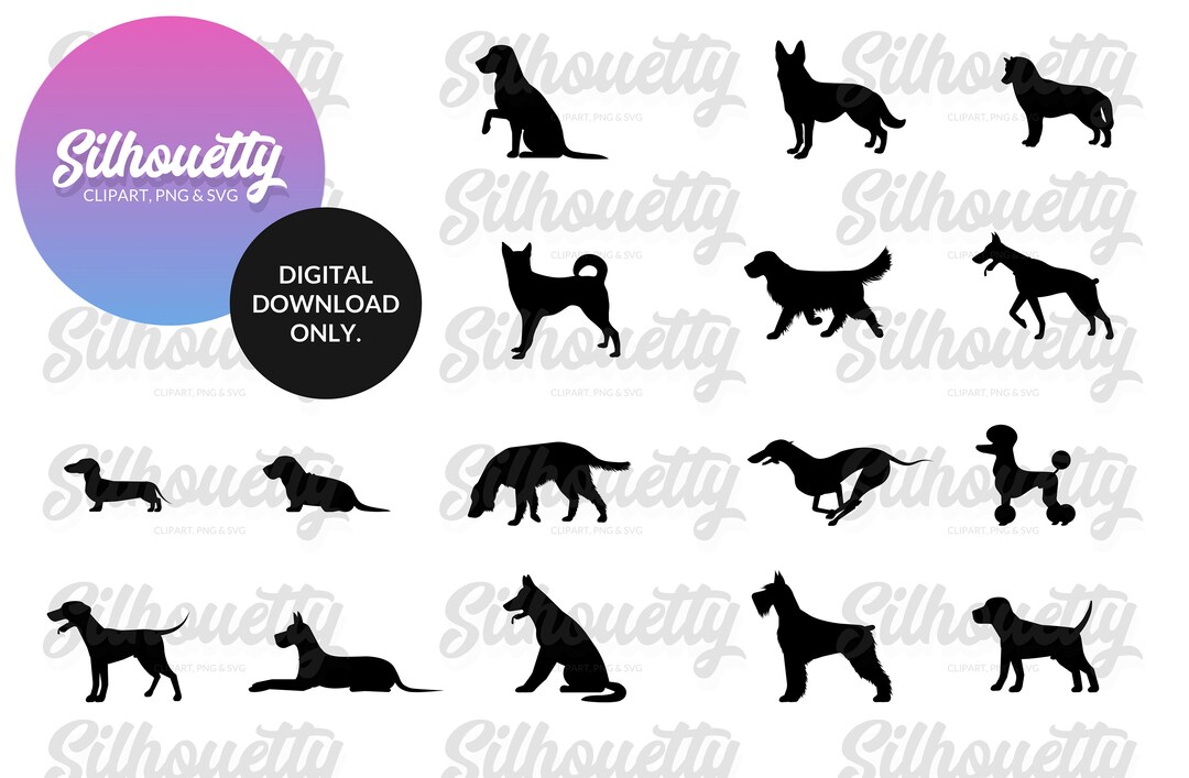 16 Piece Dog Set Svg and Png Set Dog Svg Bundle Dog - Etsy
