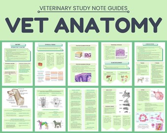 Vet Cheat Sheet - Etsy Australia