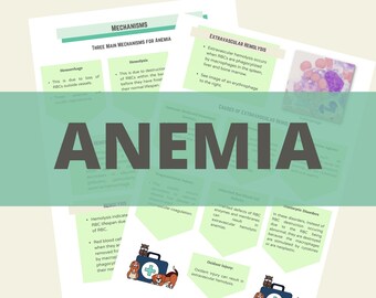 Anemia Cheat Sheet - Etsy