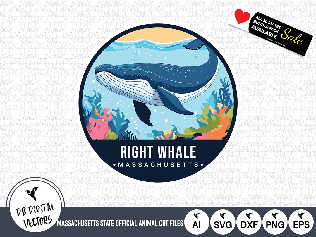 Massachusetts Right Whale SVG: State Animal Cut Files (digital Download ...