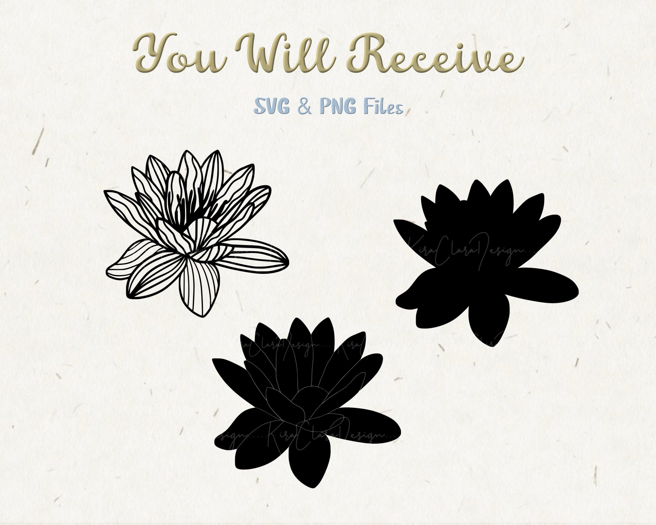 Water Lily Flower Clipart/floral SVG Layer/botanical Outline - Etsy