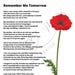 Remembrance Day Poem Print: Lest We Forget (digital Print) - Etsy