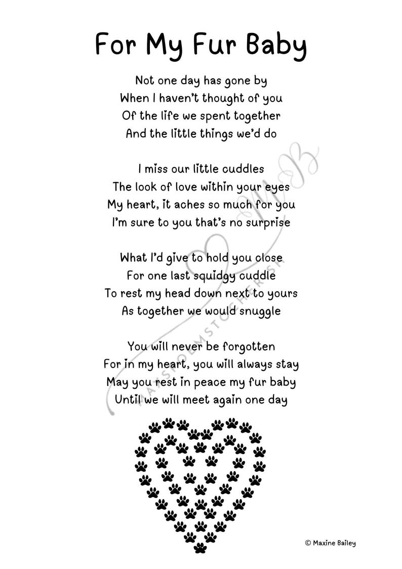 Pet Loss Poem: Rainbow Bridge Keepsake (digital Download) - Etsy
