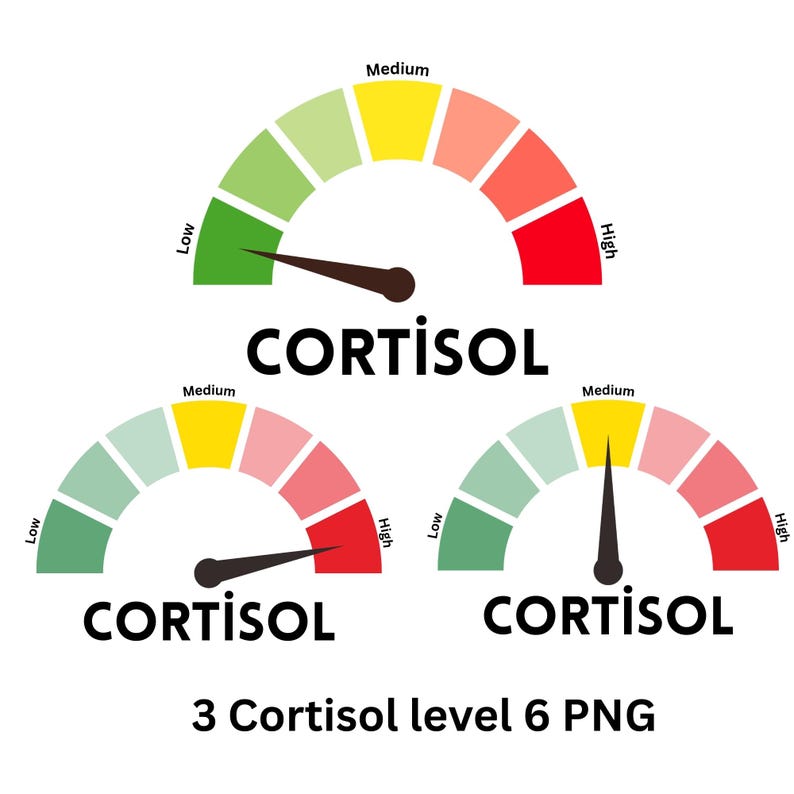 Funny Cortisol Level PNG the Health Effects of High Medium Low Cortisol ...