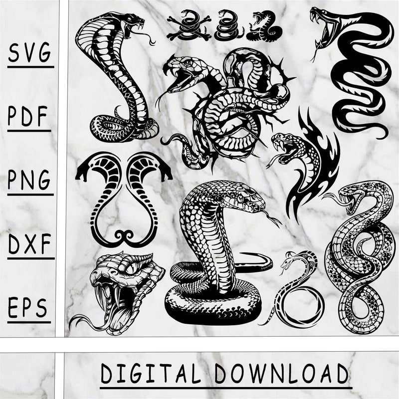 Snake Svg - Etsy
