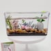 Miniature Aquarium Rocks and Plants/tiny Fish Tank Supplies/miniverse ...