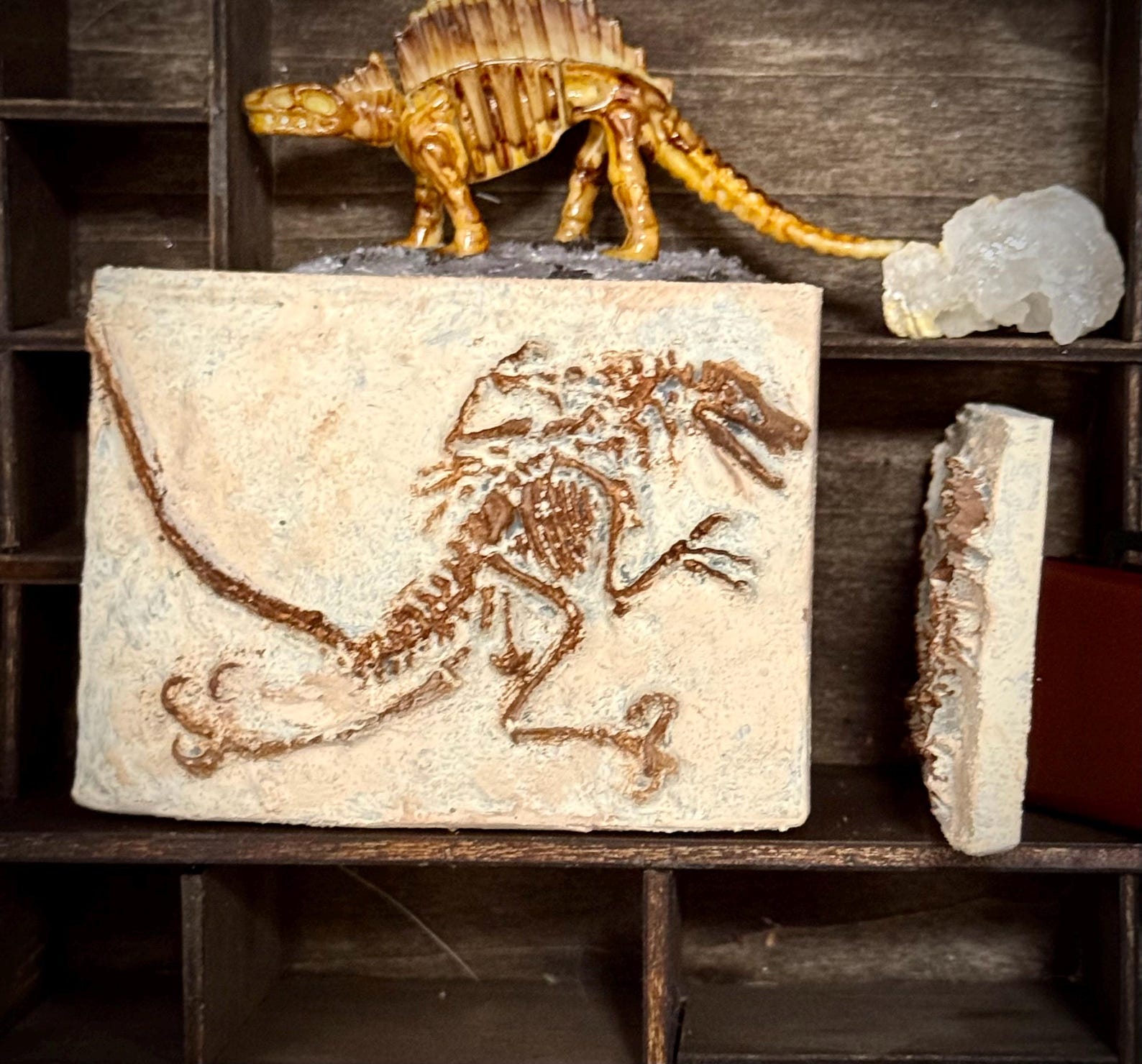 1:12 Multi-scale Prehistoric Fossil Specimen Dollhouse Miniature ...