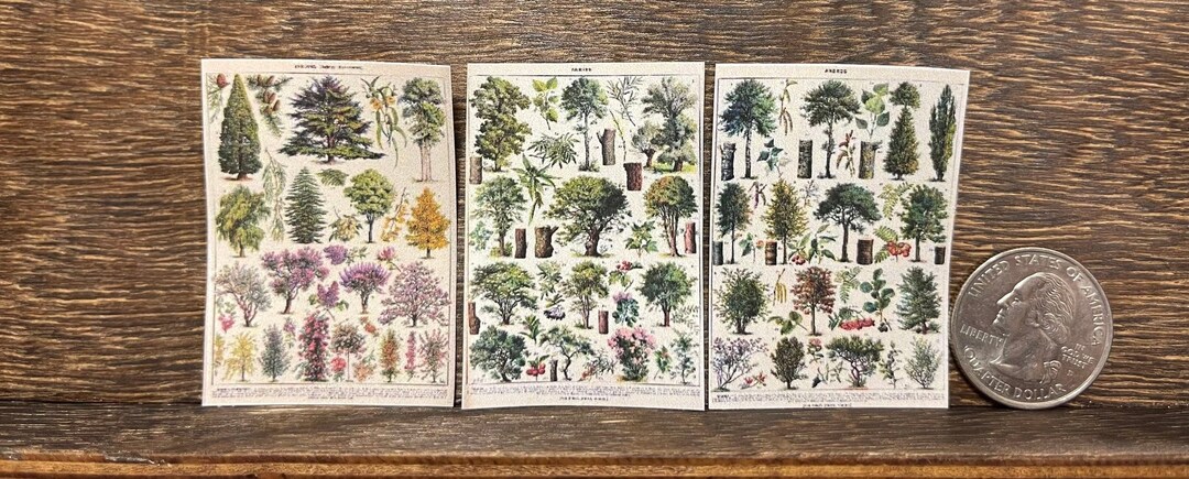 1:12 or Multi-scale Trees Charts- Tiny Fairy Garden Diagrams for Scales ...