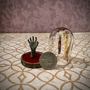 1:12 Miniature Zombie Hand in Dome Jar- Diorama Mystery- Curiosity ...