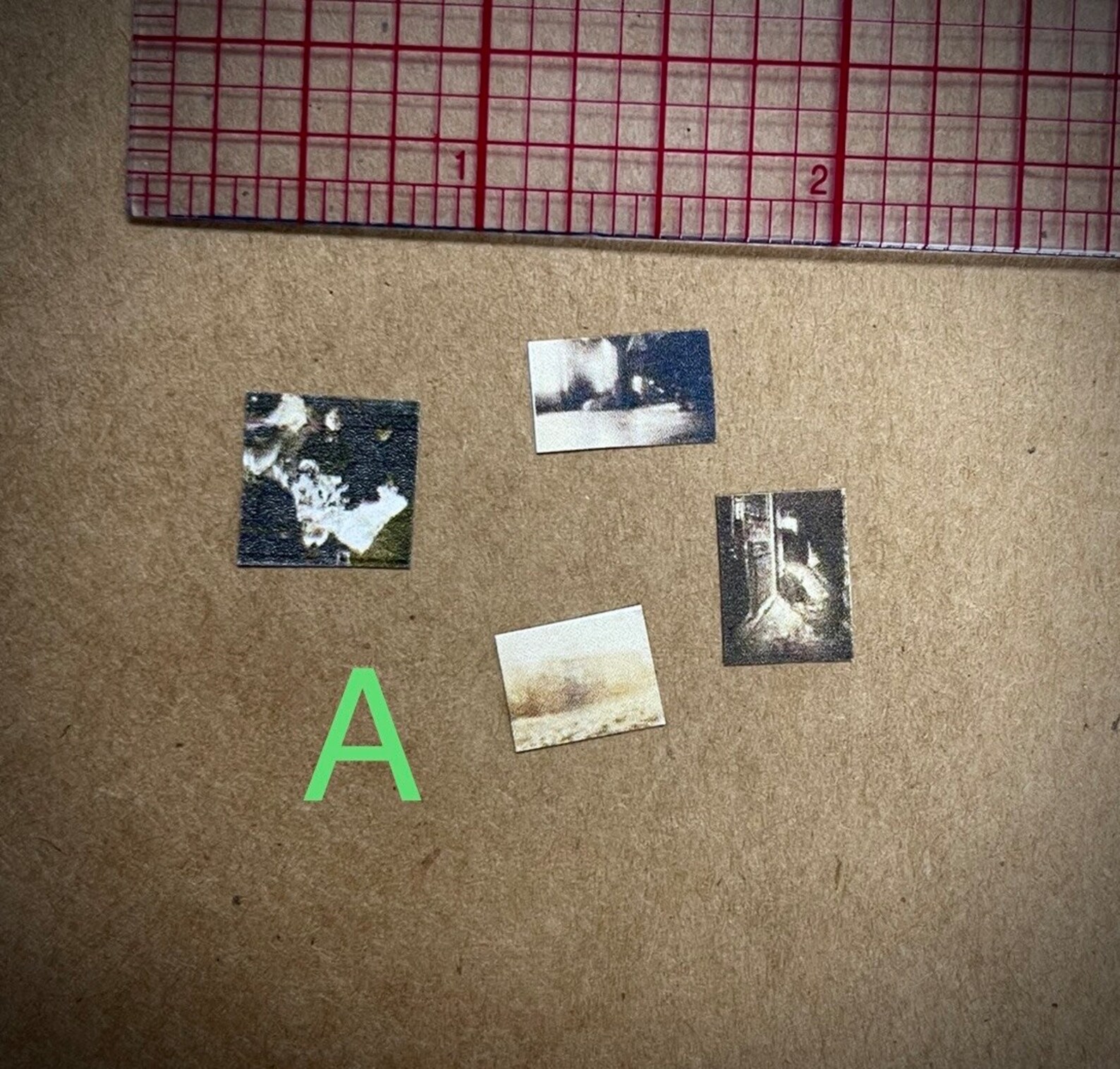 Miniature 1:12 Antique Crime Scene Photos Tiny True Crime - Etsy