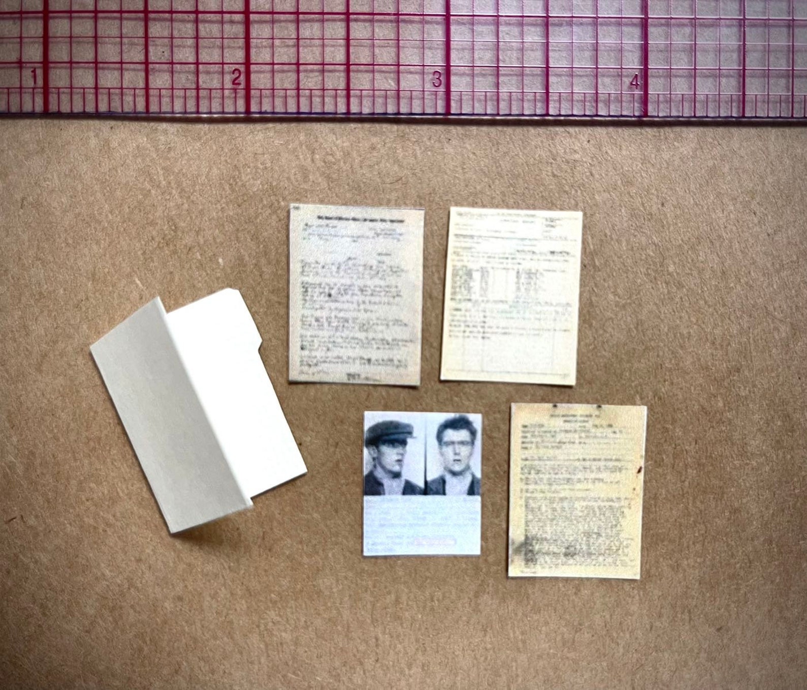 Miniature 1:12 Asylum File Folder Dollhouse Curiosity Prop - Etsy