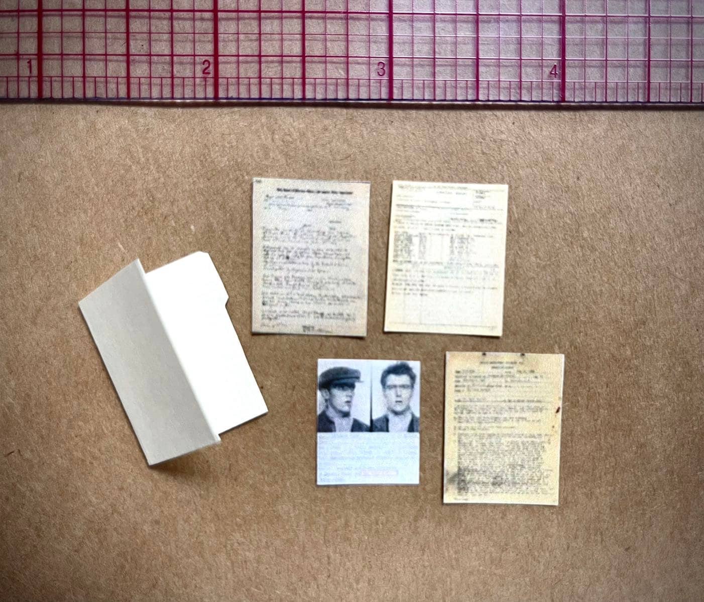 Miniature 1:12 Asylum File Folder Dollhouse Curiosity Prop - Etsy