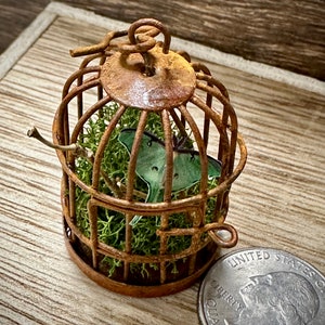 1:12 Luna Moth in a Bird Cage Dollhouse Miniature- Whimsical ...