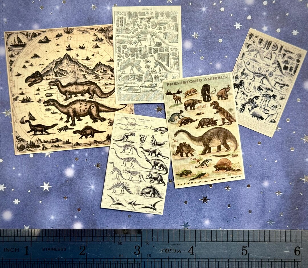 Multi-scale or 1:12 Dinosaur Fossil Diagrams and Charts Dollhouse ...