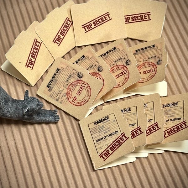 Top Secret Folder - Etsy