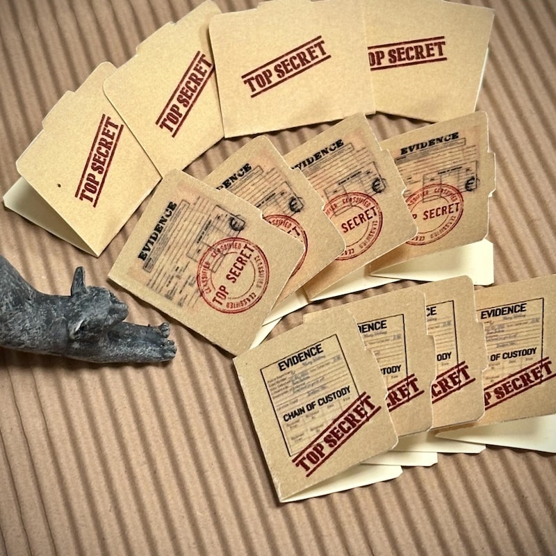 Top Secret Folder - Etsy