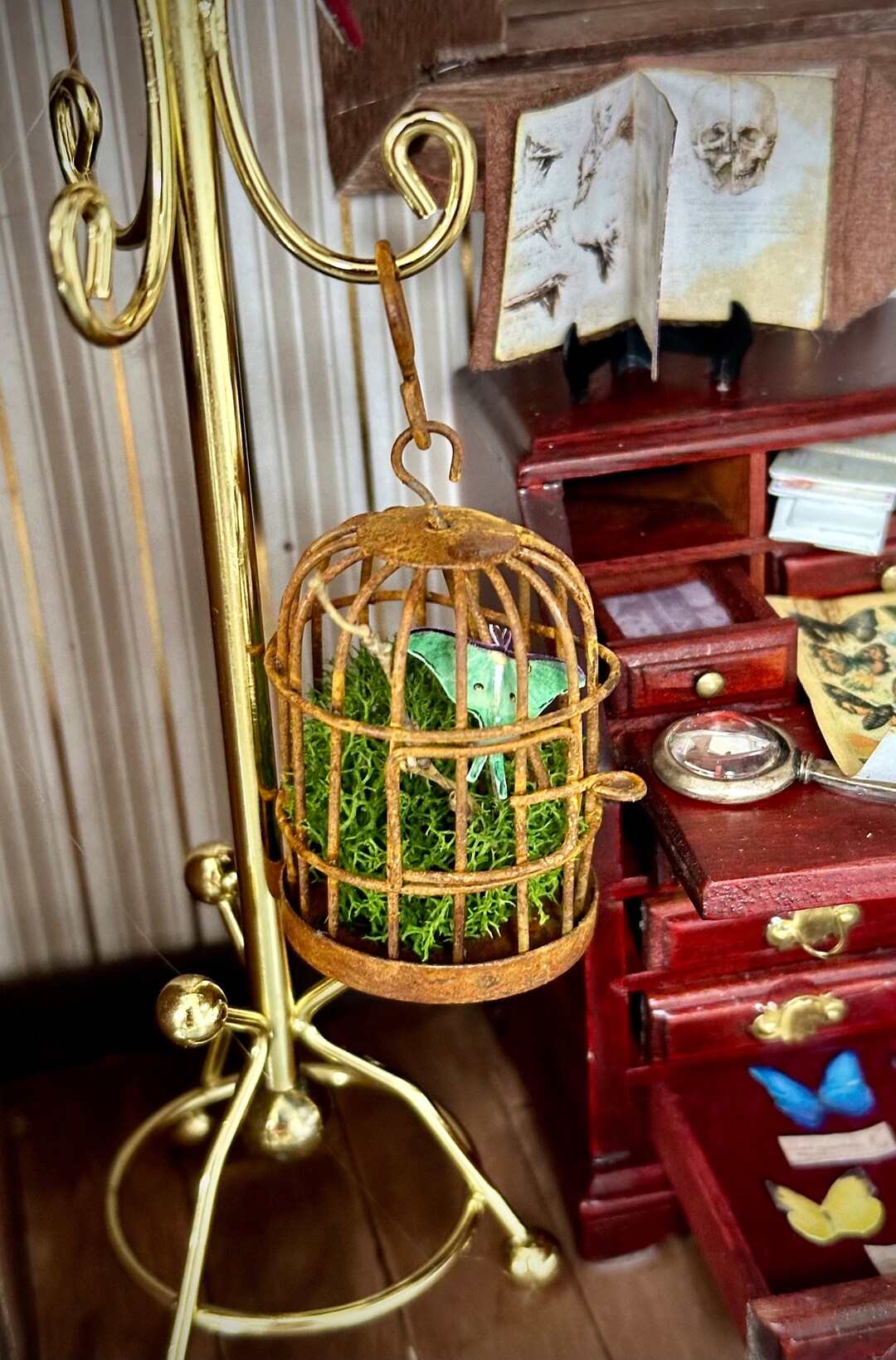 1:12 Luna Moth in a Bird Cage Dollhouse Miniature- Whimsical ...