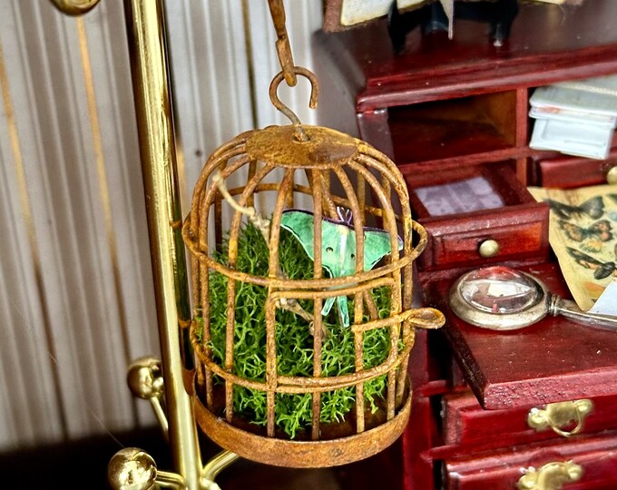 1:12 Luna Moth in a Bird Cage Dollhouse Miniature Whimsical Decorations ...