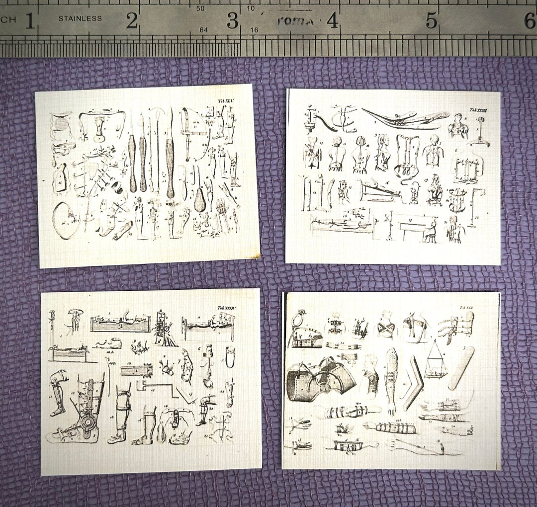 Multi-scale 1:12 Medical Instrument Charts and Diagrams Dollhouse ...