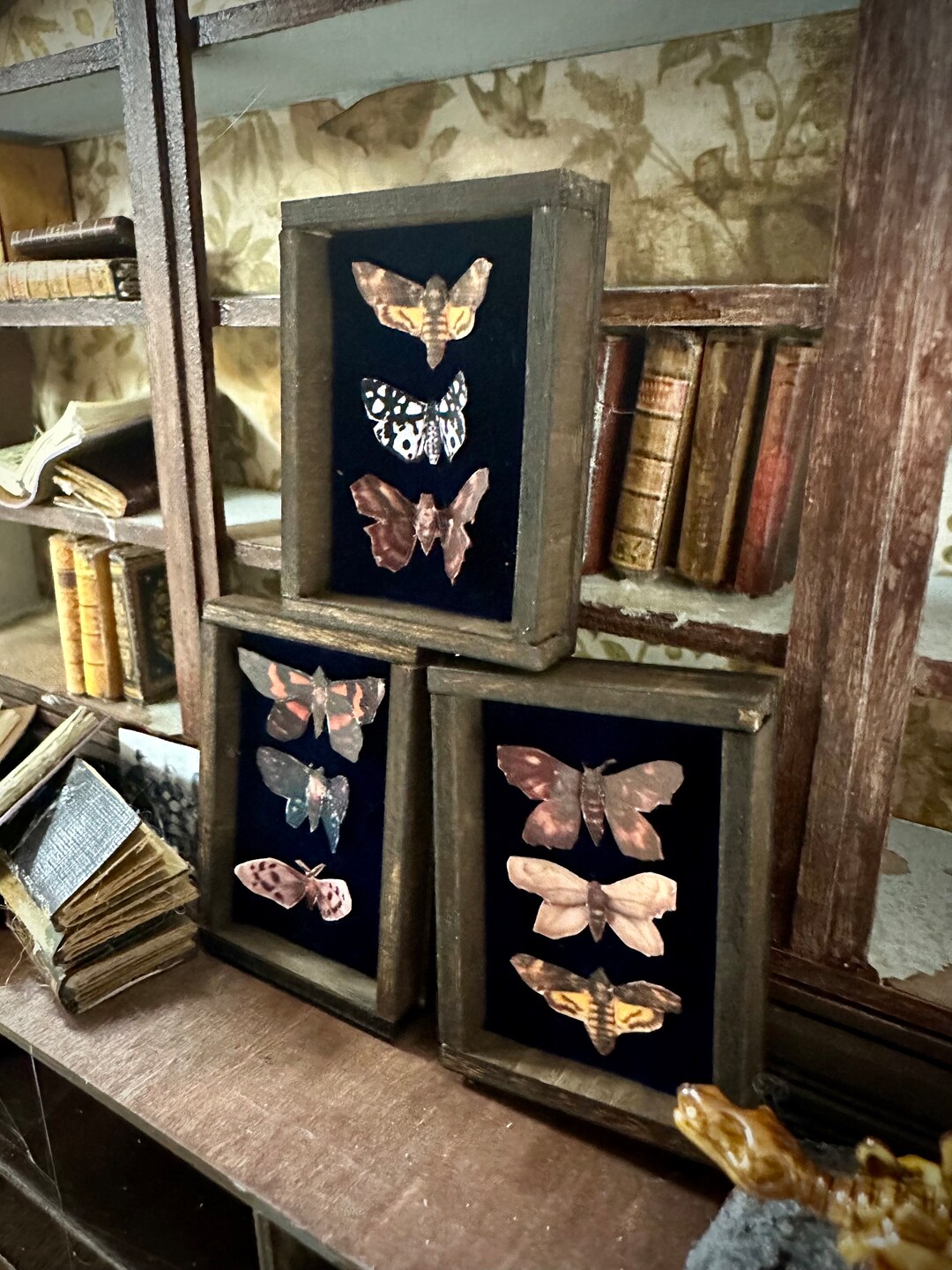 1:12 Butterflies and Moths in a Shadow Box- Dollhouse Miniature ...