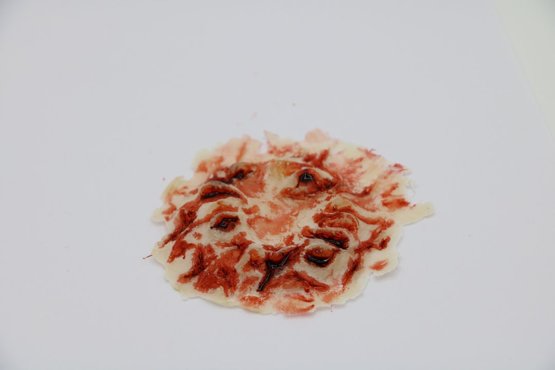 Latex Zombie Bite. Prosthetic Appliance. Film TV Theatre Prosthetics ...