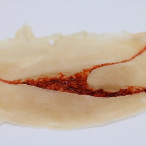 Latex Skin Flap Wound. Prosthetic Appliance. Skin Flap. Halloween. Film ...