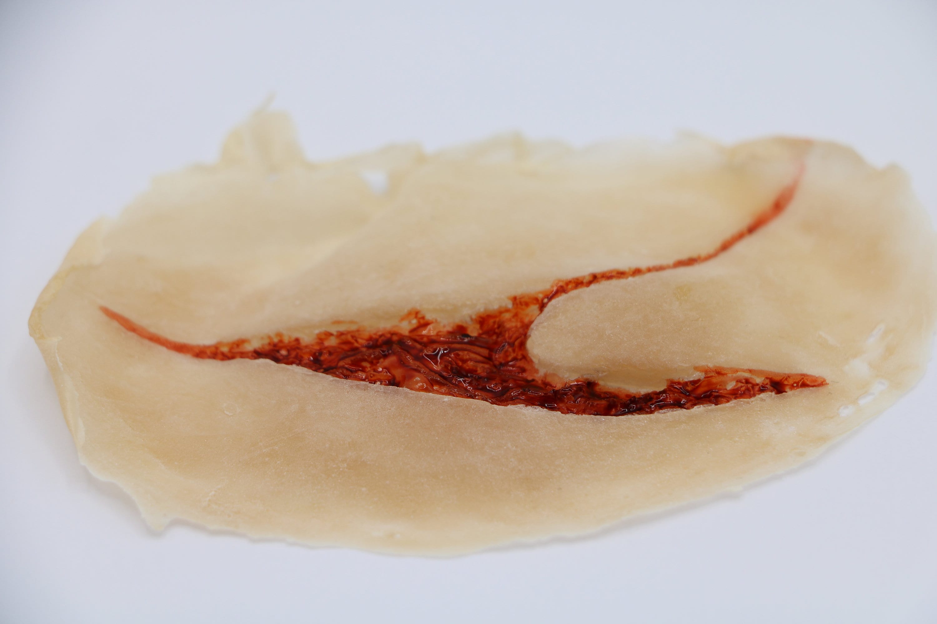 Latex Skin Flap Wound. Prosthetic Appliance. Skin Flap. Halloween. Film ...