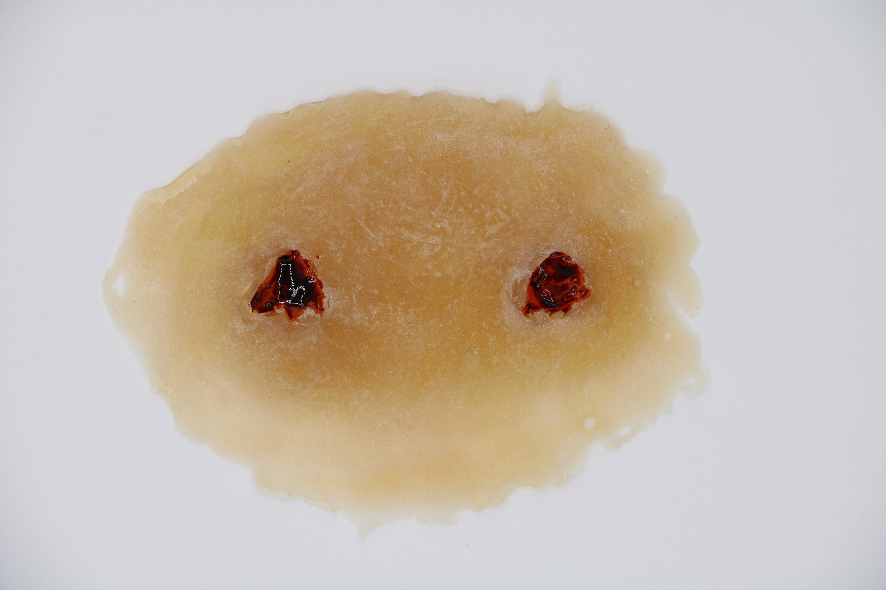 Latex Vampire Bite. Wound. Prosthetic Appliance. Dracula. - Etsy