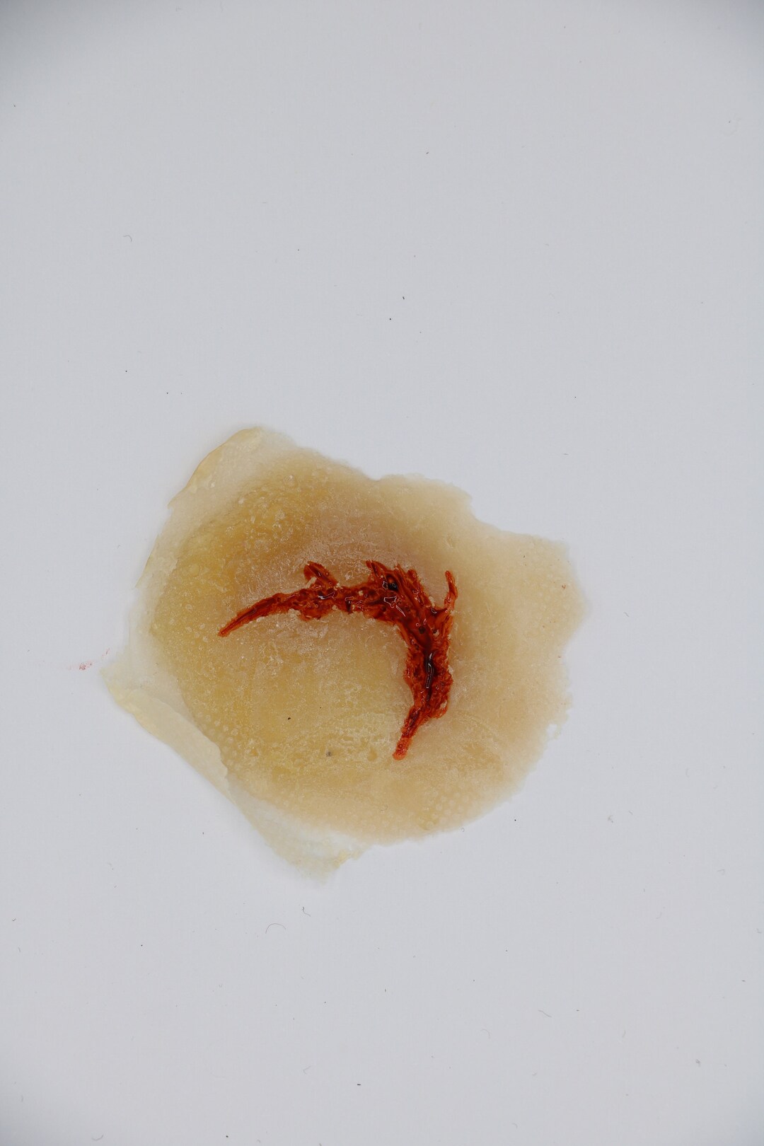 Latex Scratch Cut Wound . Prosthetic Appliance. Film TV Theatre ...