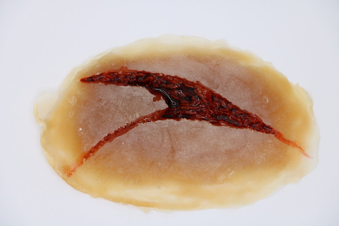 Latex Skin Flap Wound. Prosthetic Appliance. Skin Flap. - Etsy