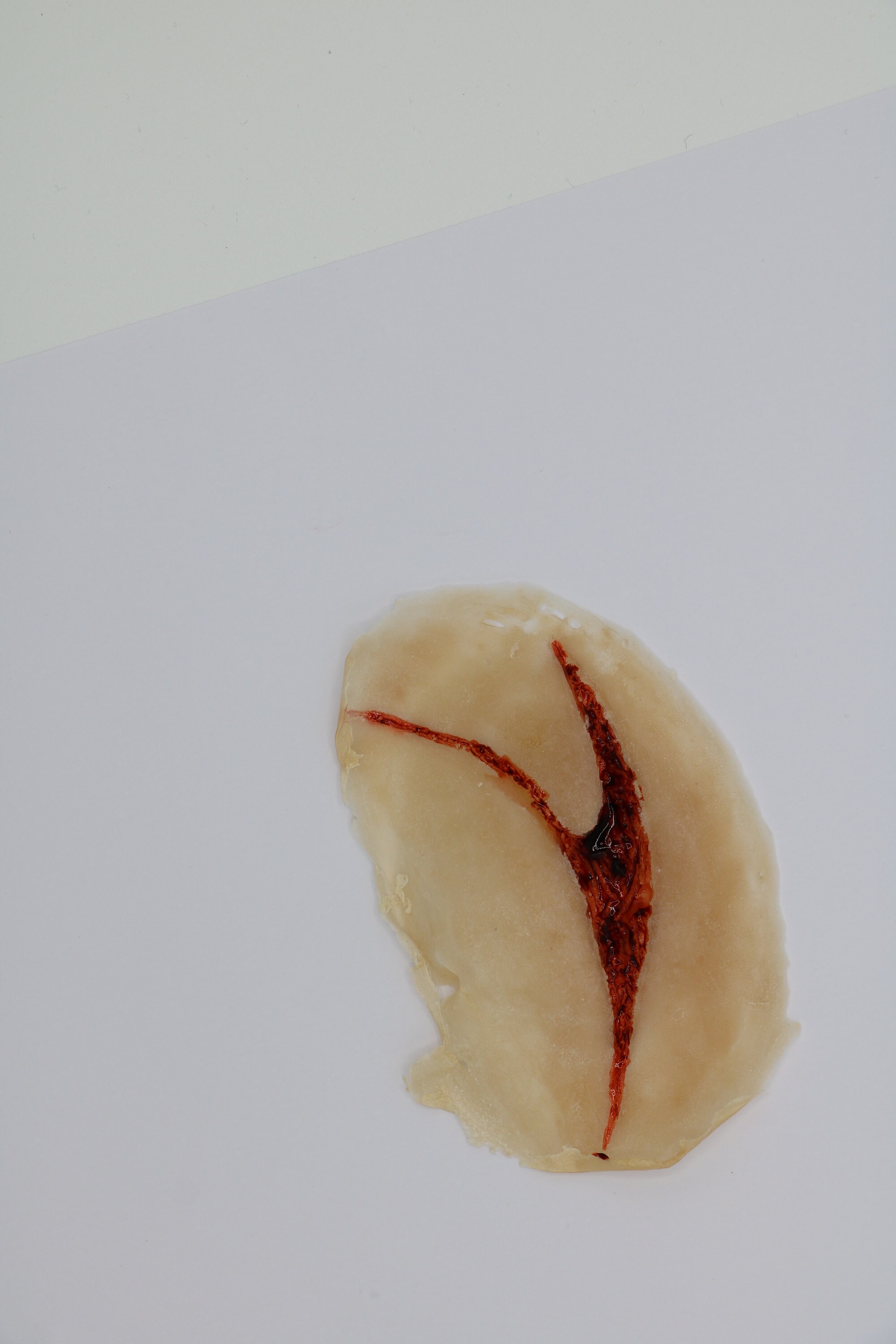 Latex Skin Flap Wound. Prosthetic Appliance. Skin Flap. Halloween. Film ...