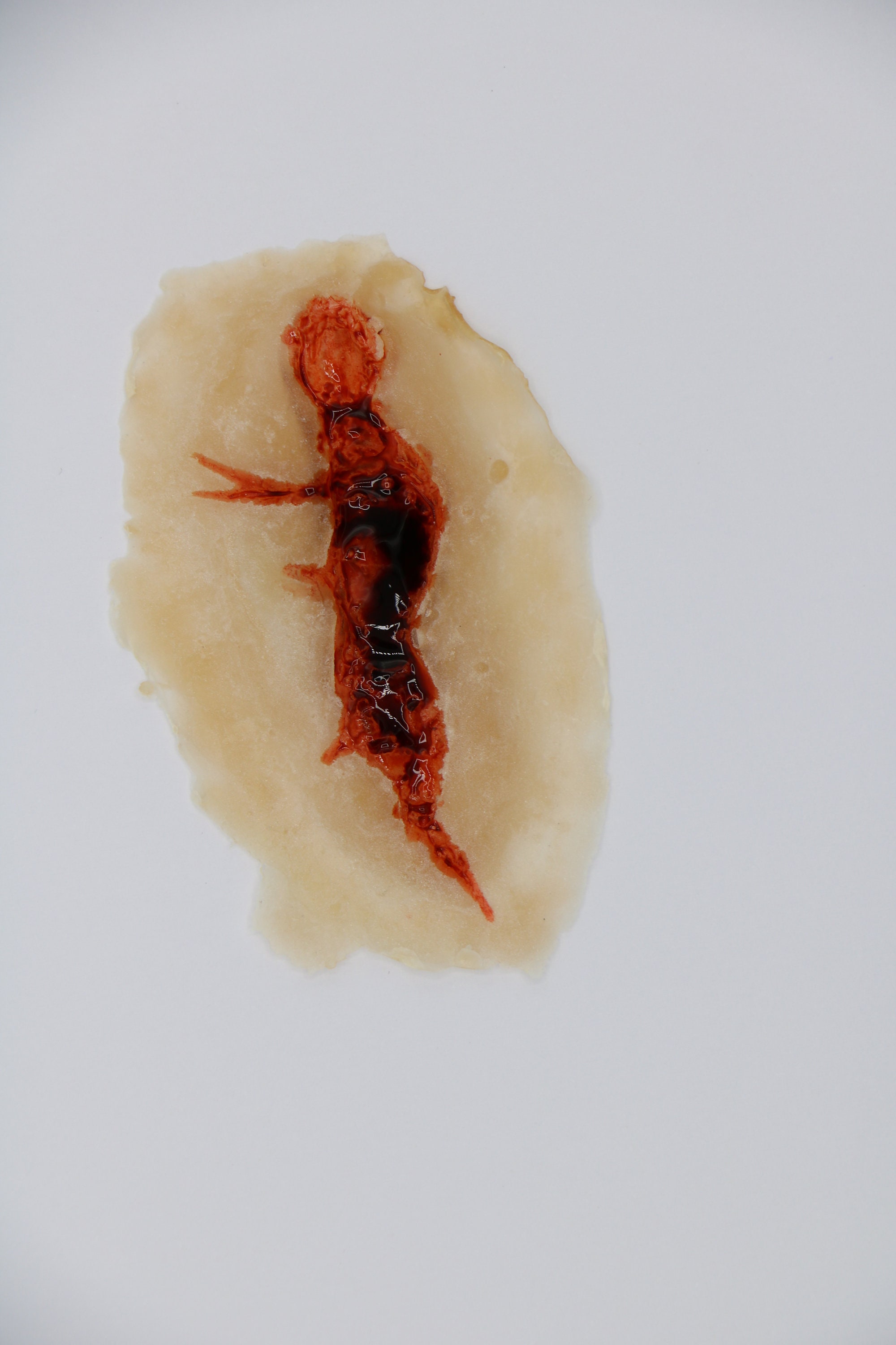 Latex Wound With Fatty Tissue. Prosthetic Appliance. Film TV Theatre ...