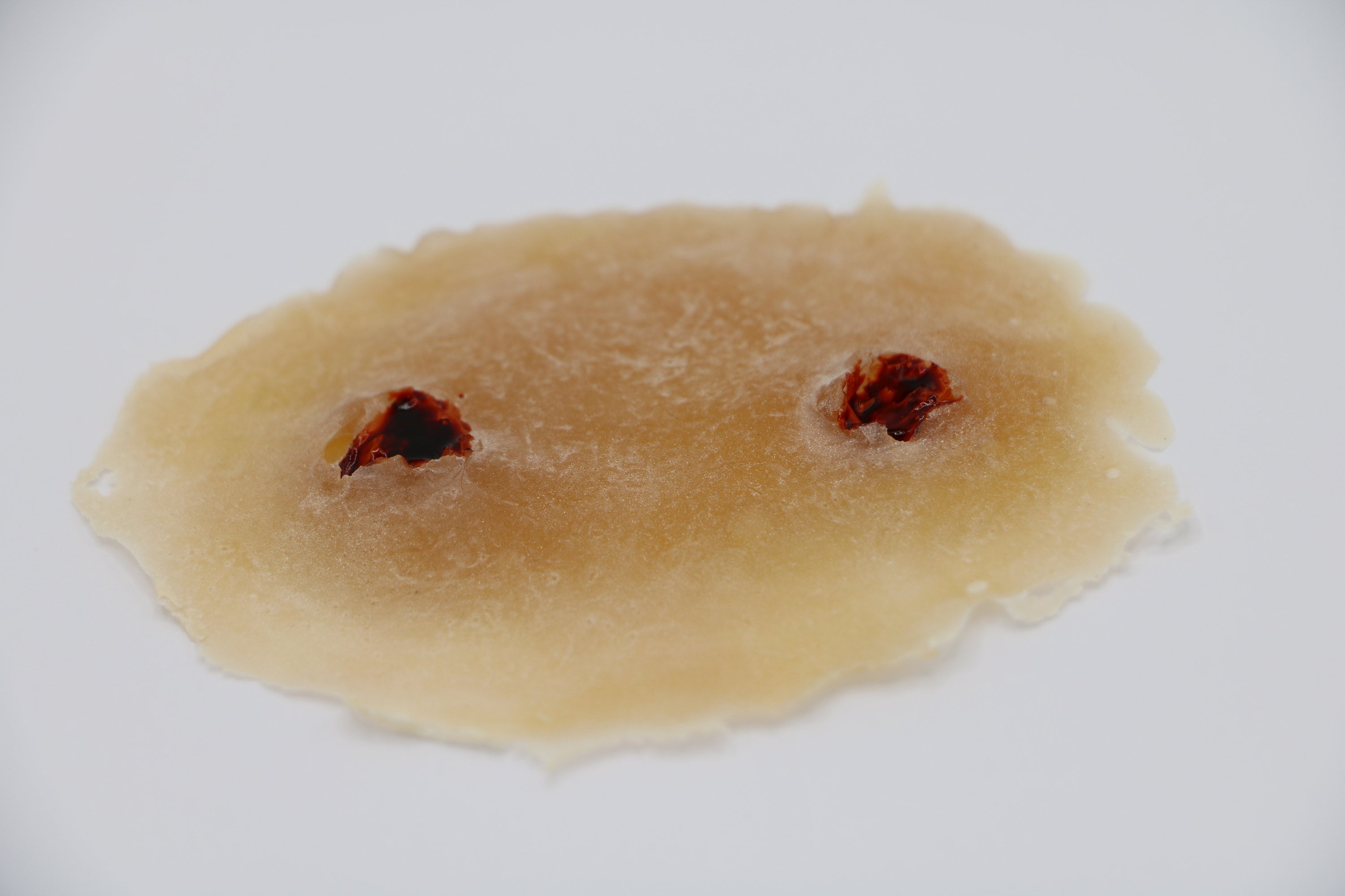 Latex Vampire Bite. Wound. Prosthetic Appliance. Dracula. - Etsy