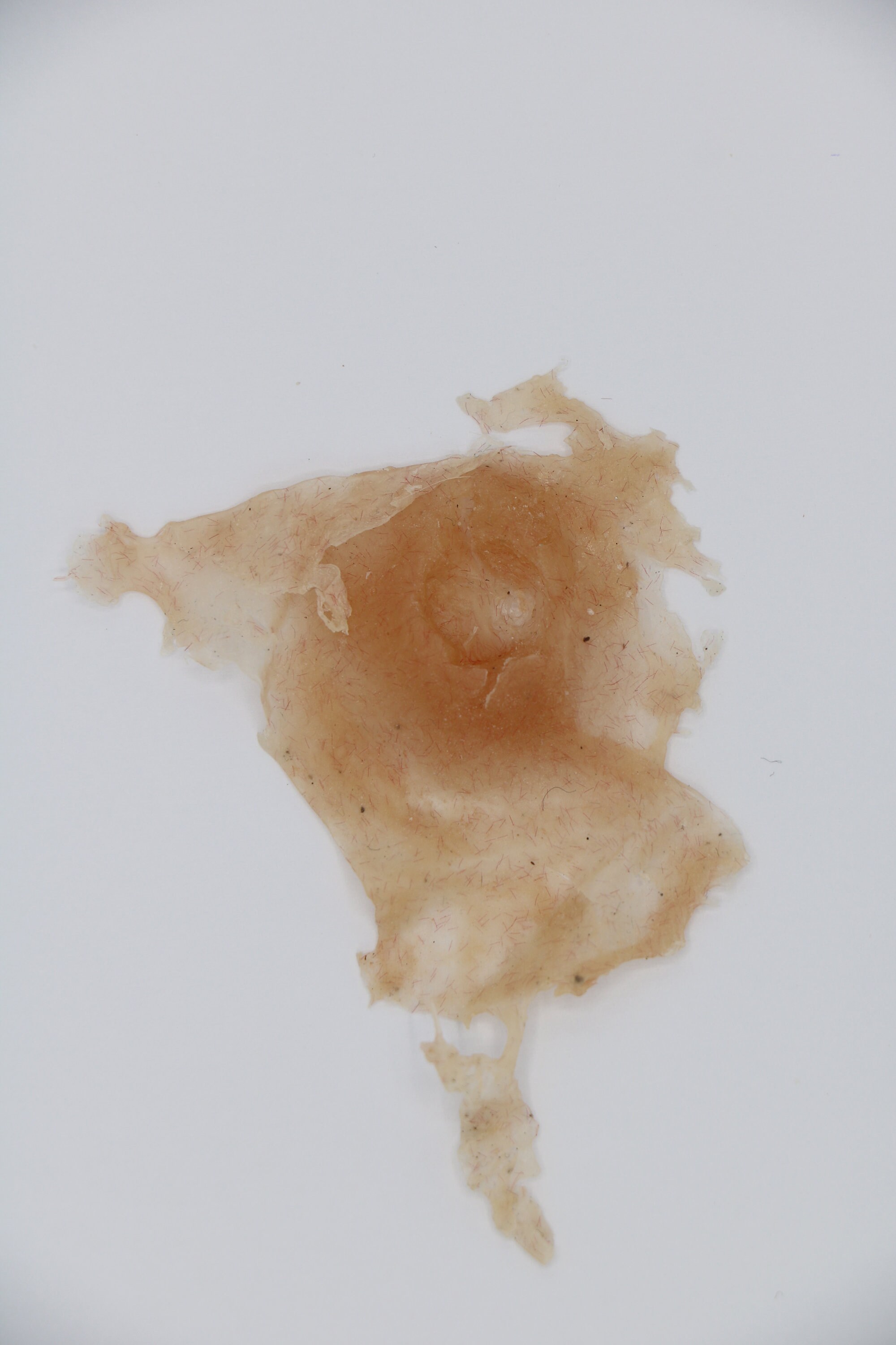 Gelatine Lip Bullet Entrance Wound. Prosthetic Appliance for Film and ...