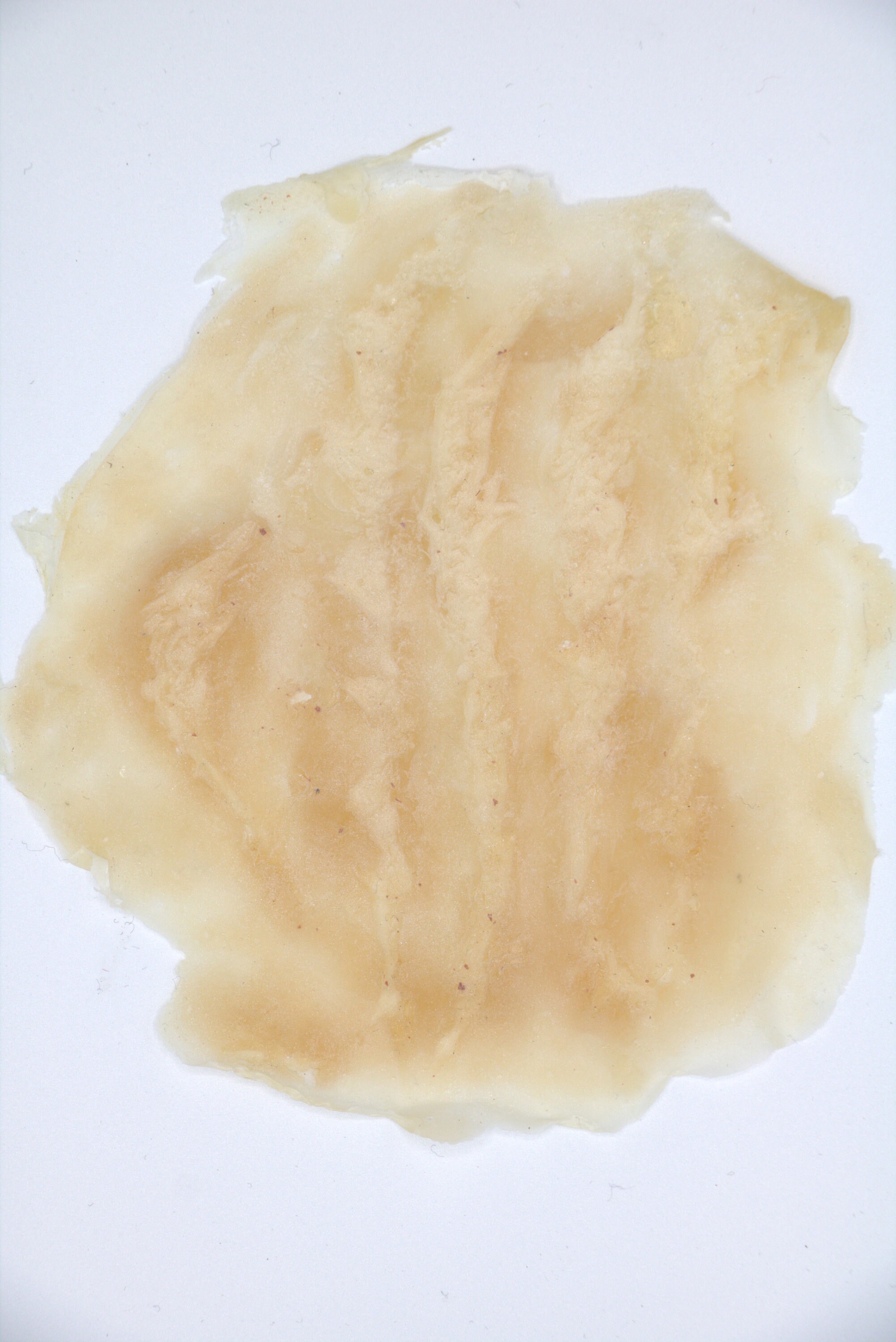 Latex Animal Scratch Wound. Prosthetic Appliance for Film, TV and ...