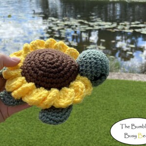 2 IN 1 TURTLE CROCHET Pattern- Digital Pdf Instant Download - Etsy