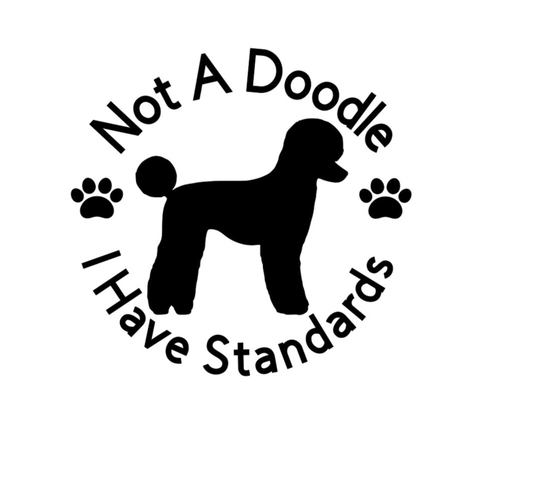 Not a Doodle I Have Standards Decal - Etsy