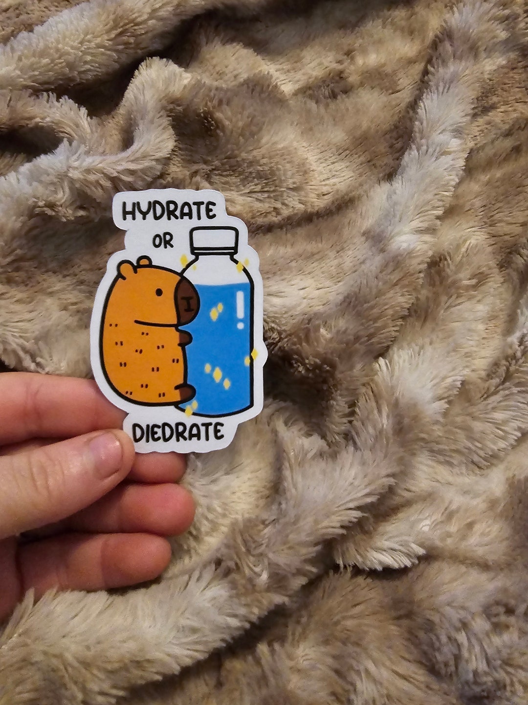 Capybara Magnet, Water Magnet,fridge Magnet, Cute Magnet, Funny Magnet ...