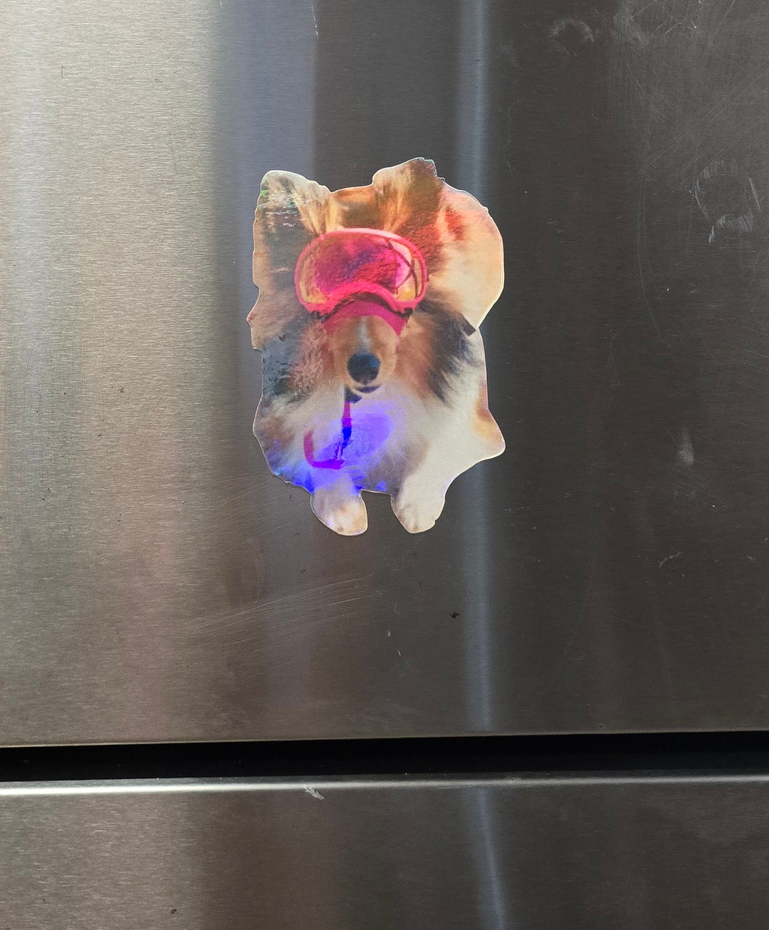 Custom Photo Fridge Magnet - Personalized With Your Picture ...