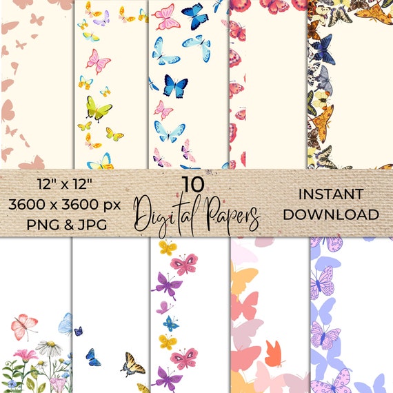 Butterfly Border Paper