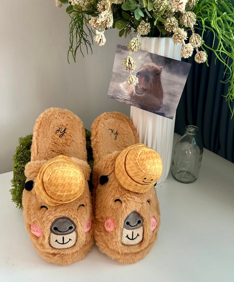 Cute Furry Capybara Cleaning Home Slippers - Etsy