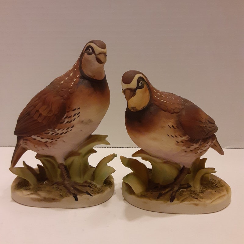 Bob White Quail - Etsy