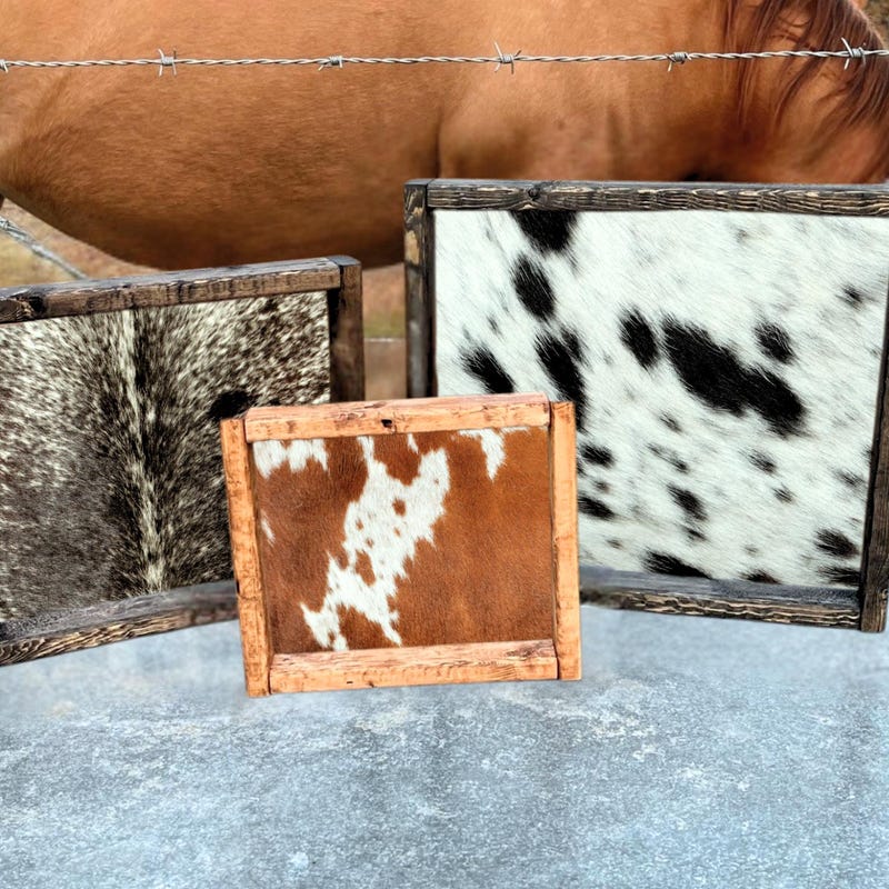 Framed Cowhide Brand - Etsy