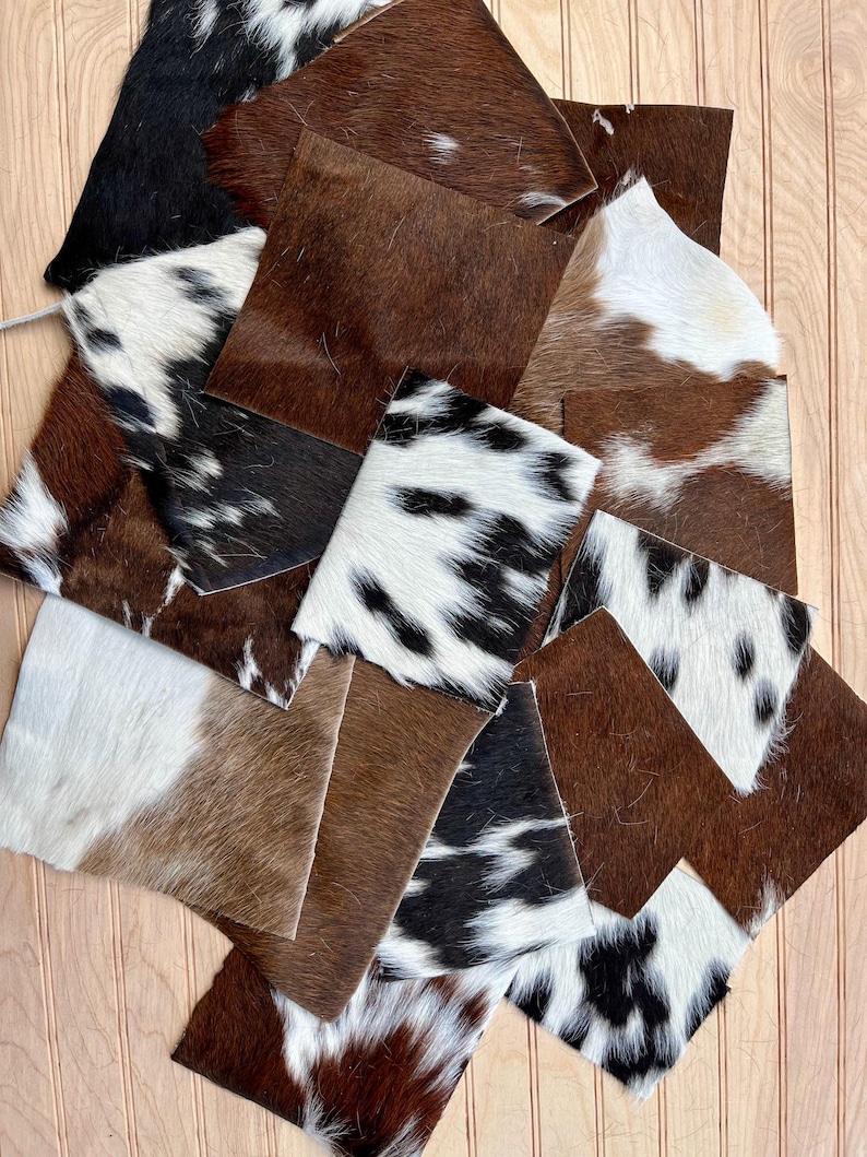 Genuine Cowhide Scrap Square for Branding Practice , Hair on Swatch ...