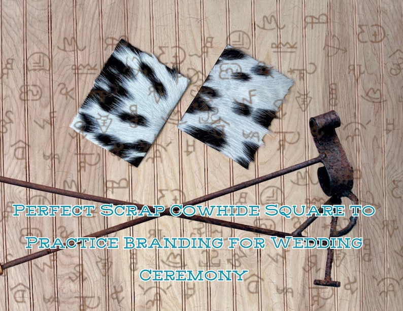 Genuine Cowhide Scrap Square for Branding Practice , Hair on Swatch ...